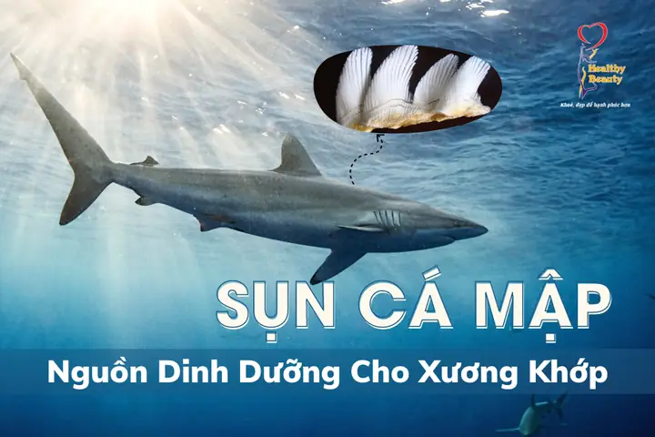 Cá Mập Hoa Là Gì? Loài Cá Mập Nhỏ Bé Nhưng Rực Rỡ Nhất Đại Dương - Công ...