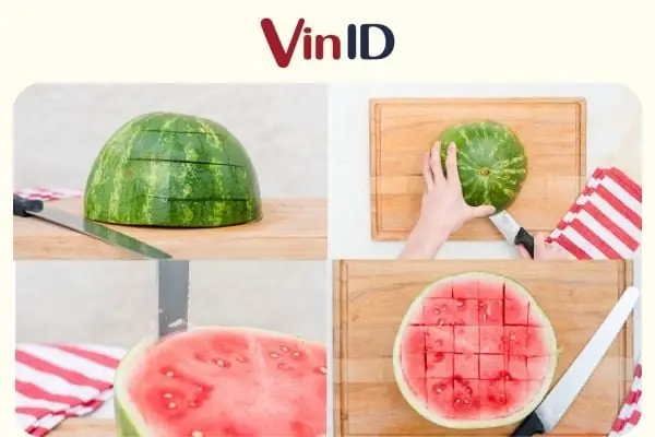 Hình Ảnh Con Cá Dìa: Khám Phá Vẻ Đẹp Của Những Cận Cảnh Động Vật Học ...